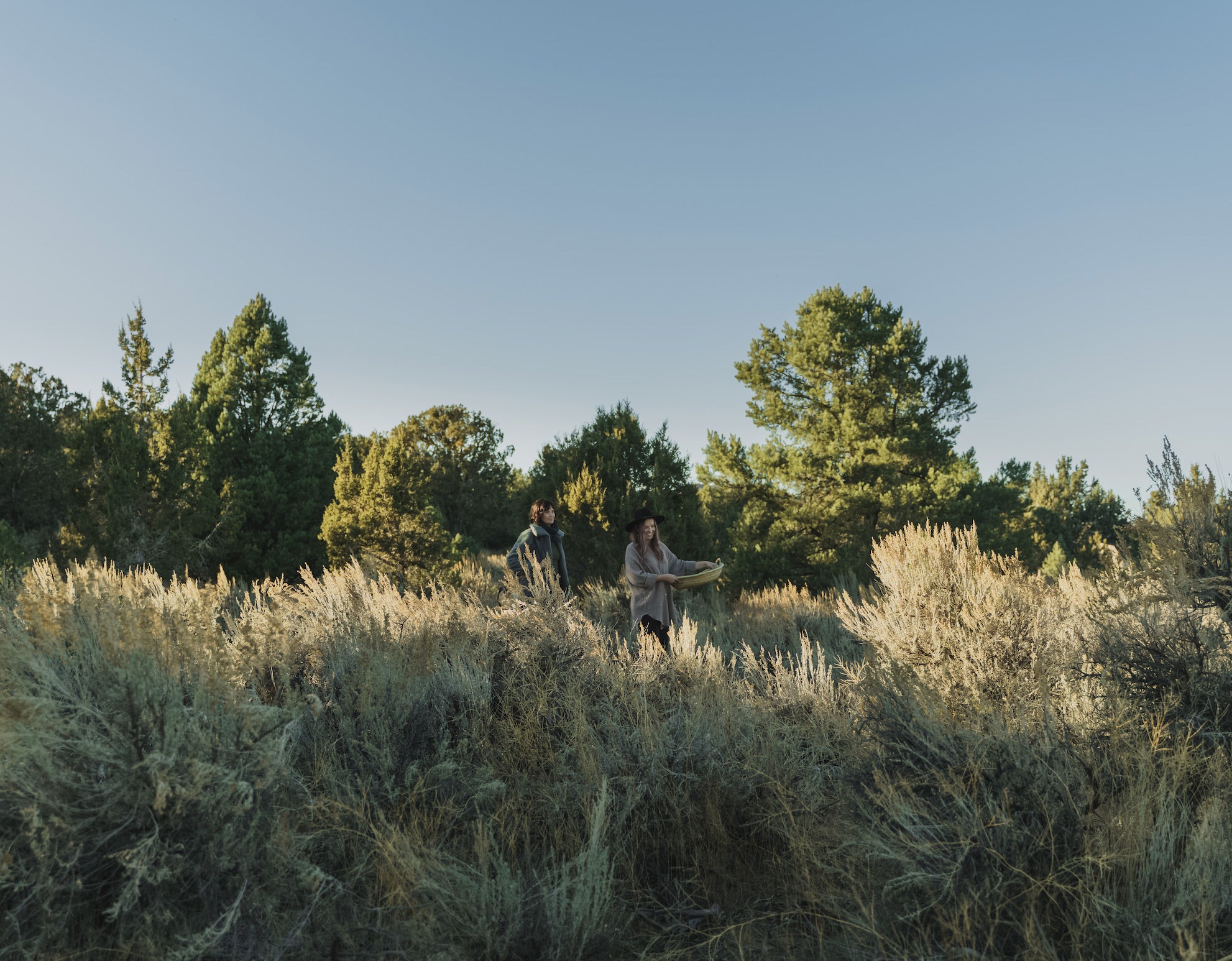 Soaking It All In: Forest Bathing 101 – Good Medicine Beauty Lab