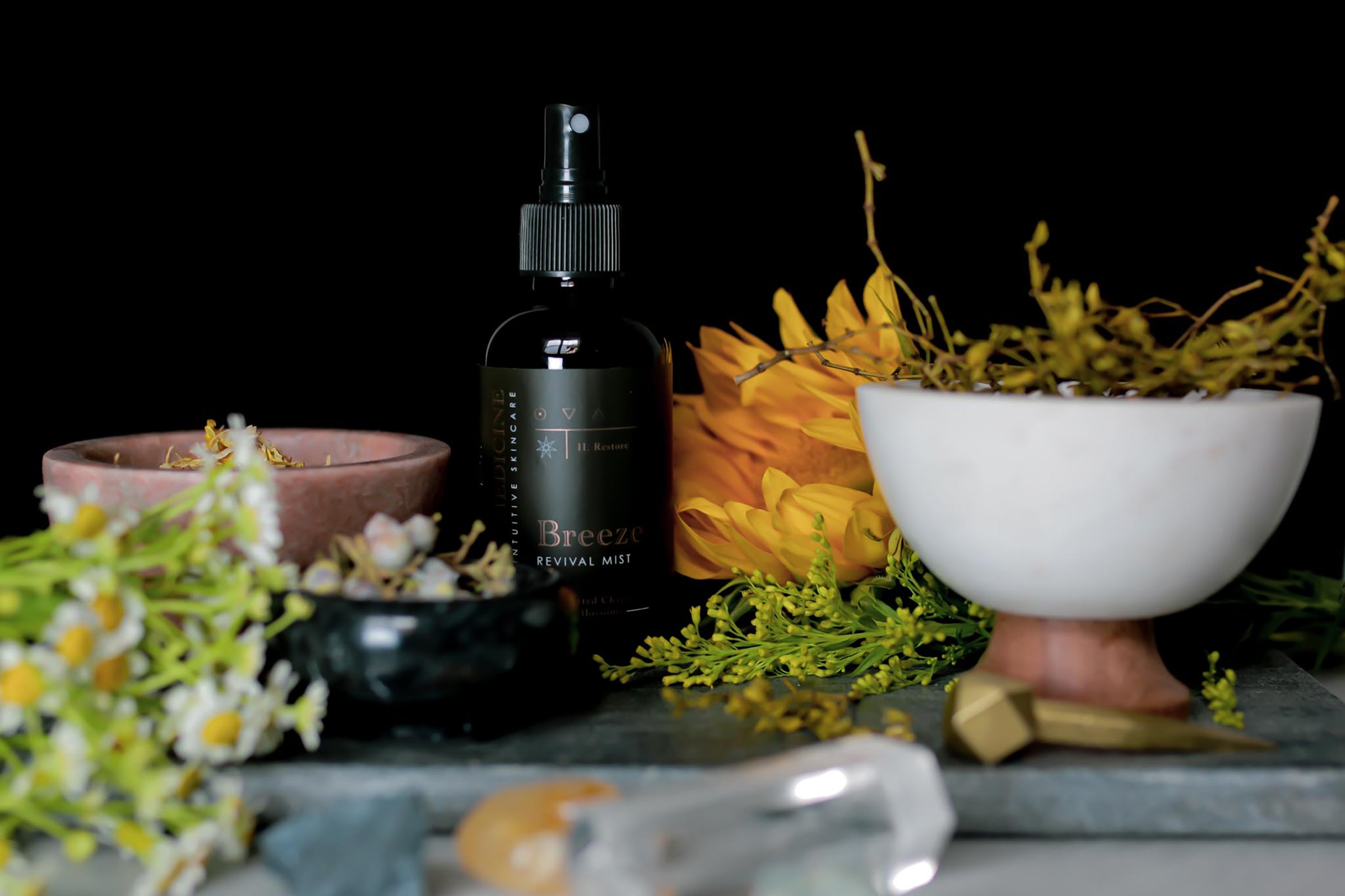 Why Your Skin Loves a Toner – Good Medicine Beauty Lab